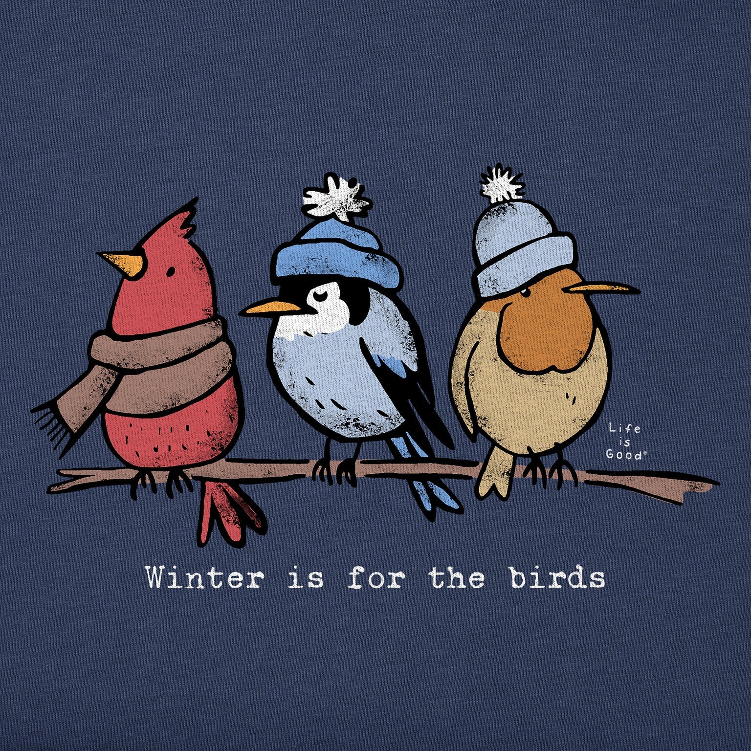 Women's Shady Winter is for the Birds Long Sleeve Crusher Vee – Good ...